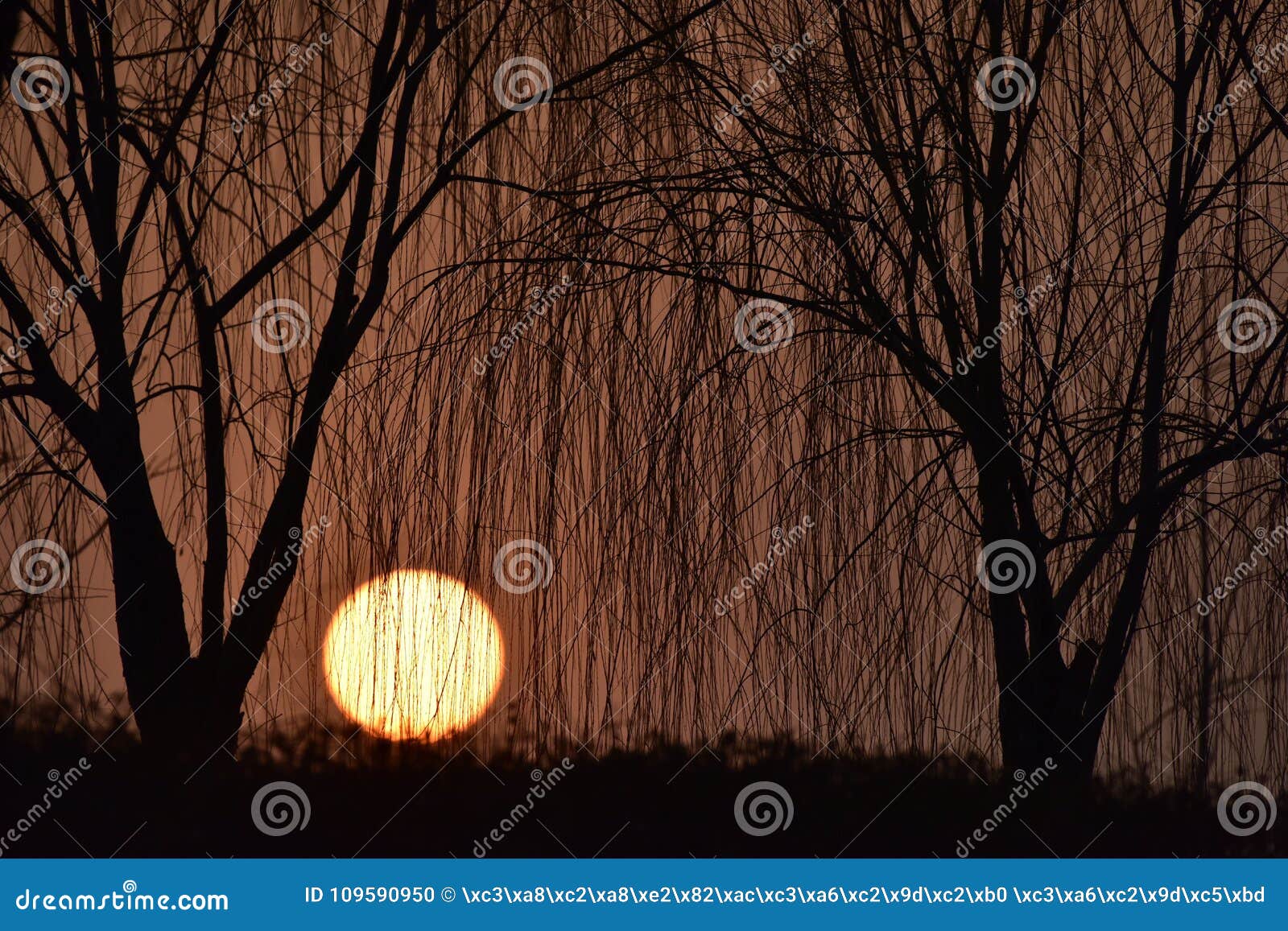 Lingering Light of the Setting Sun Stock Photo - Image of sunset, send ...