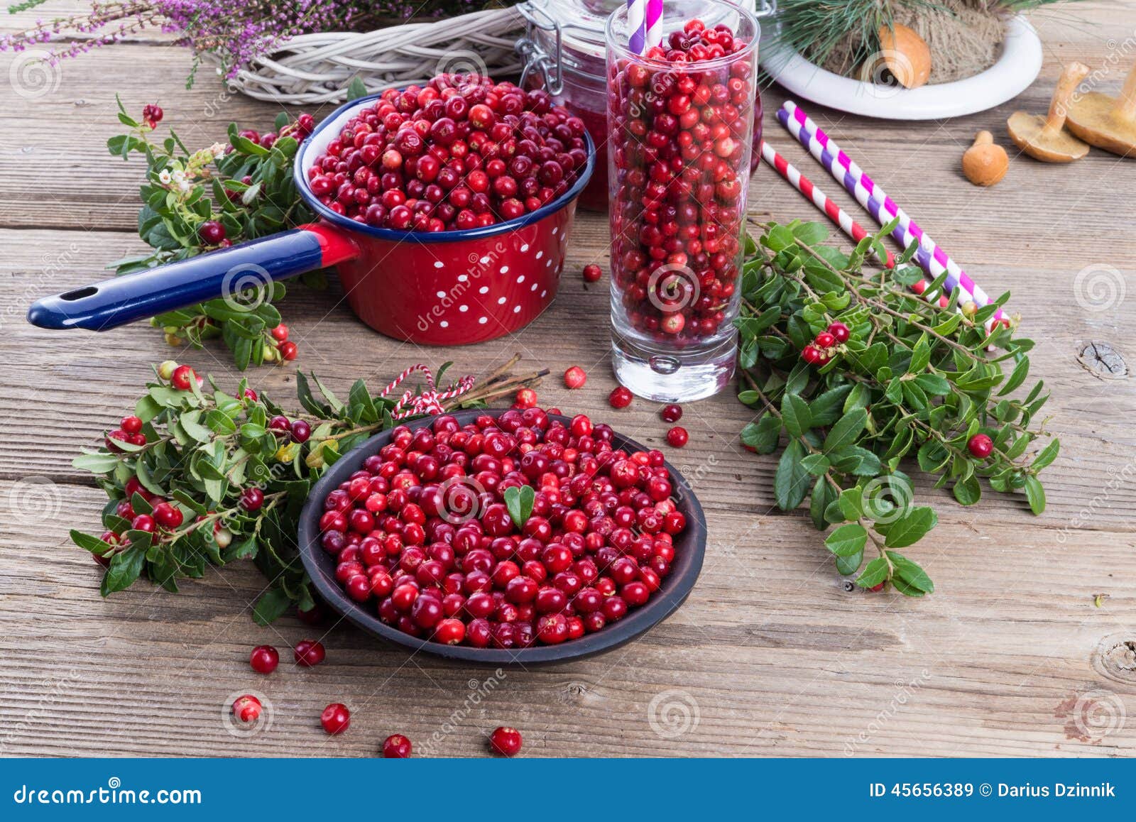 Lingonberries stock image. Image of cowberry, leaf, juicy - 45656389
