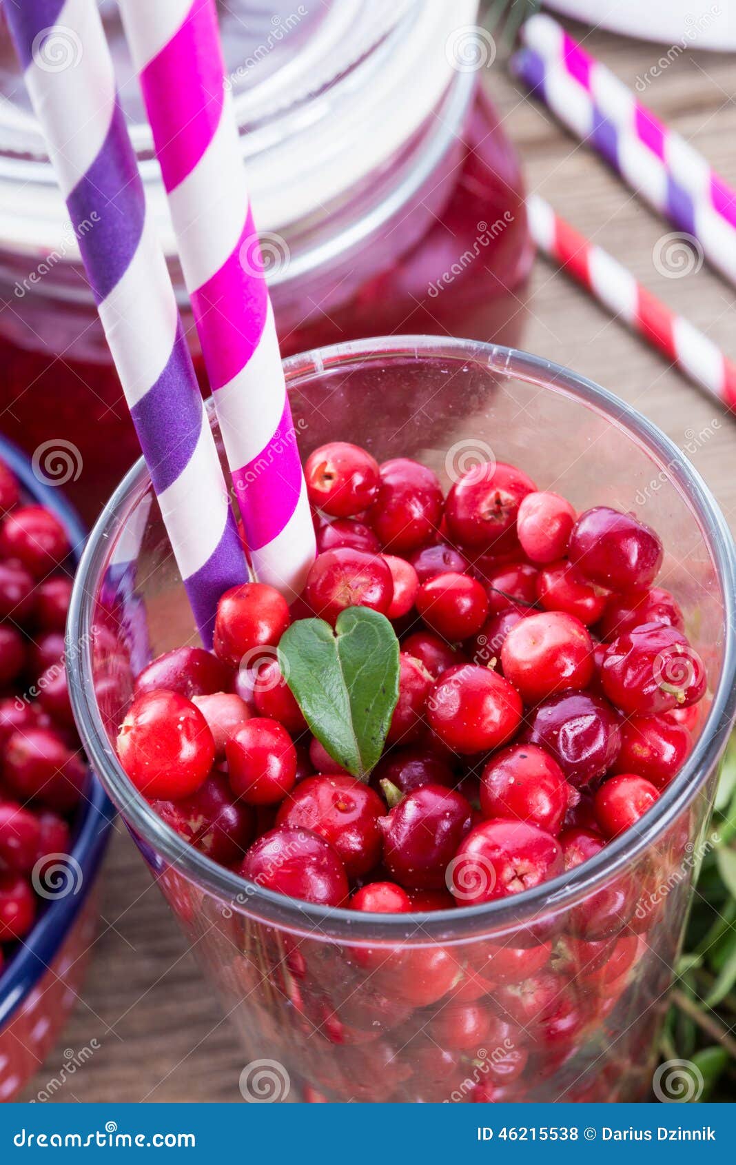 Lingonberries stock photo. Image of descriptive, forest - 46215538