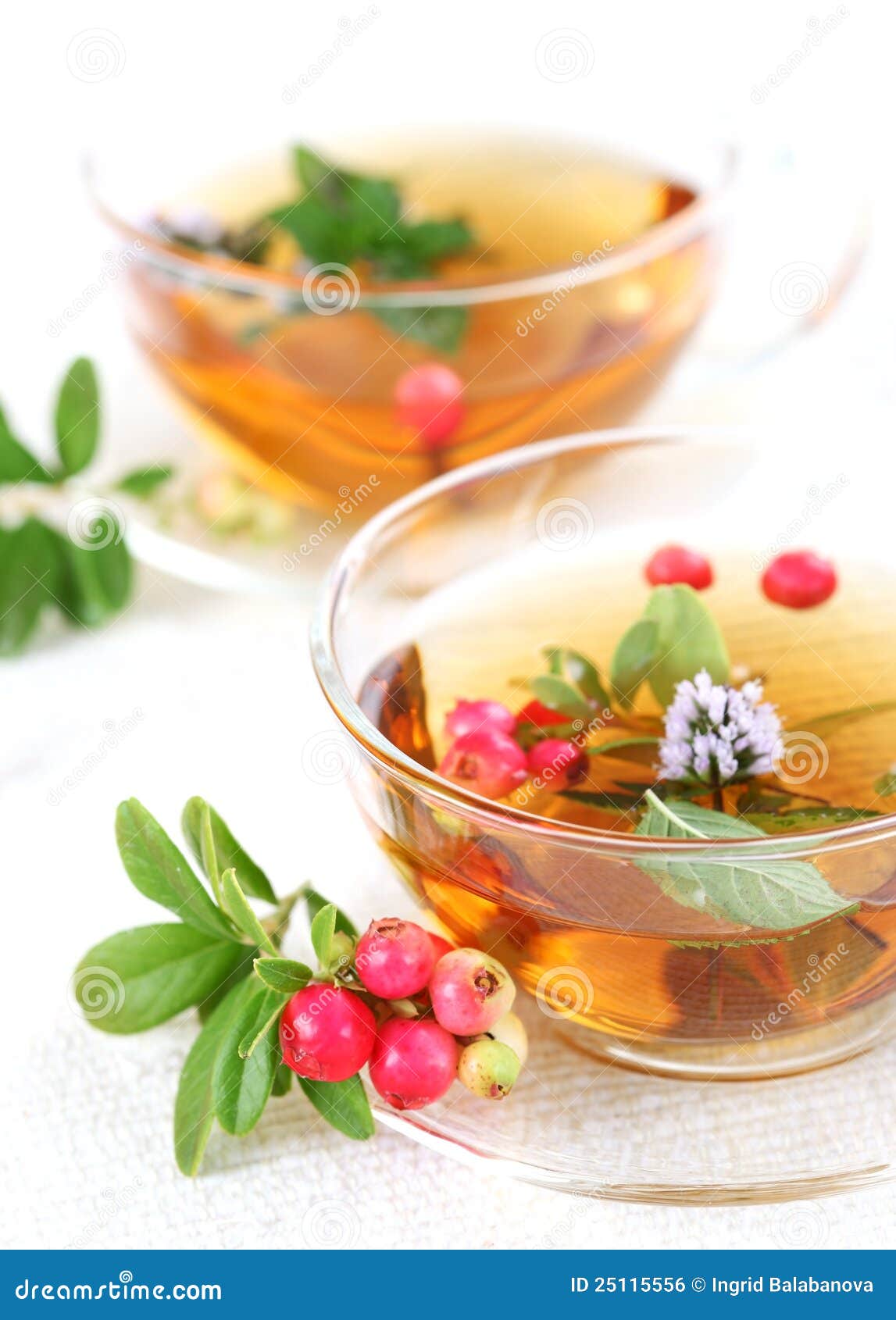 Lingonberry tea stock photo. Image of lingonberry, healing - 25115556
