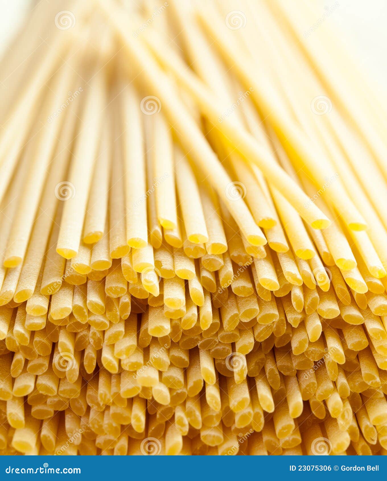 Linguini pasta stock photo. Image of food, rigatoni, traditionally ...