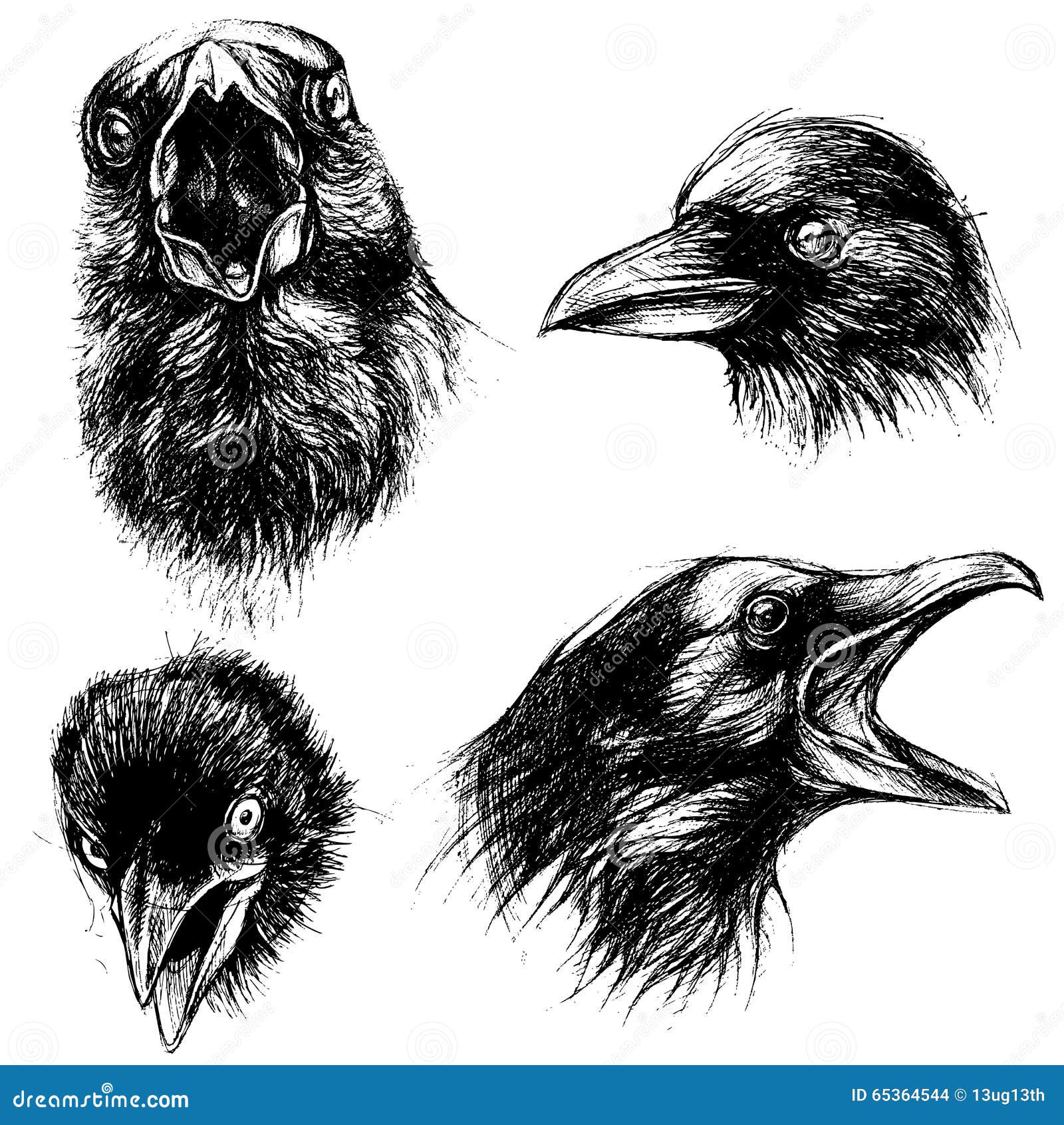 Linha Principal Vetor Do Desenho Do Corvo Do Trabalho Ilustração do ...