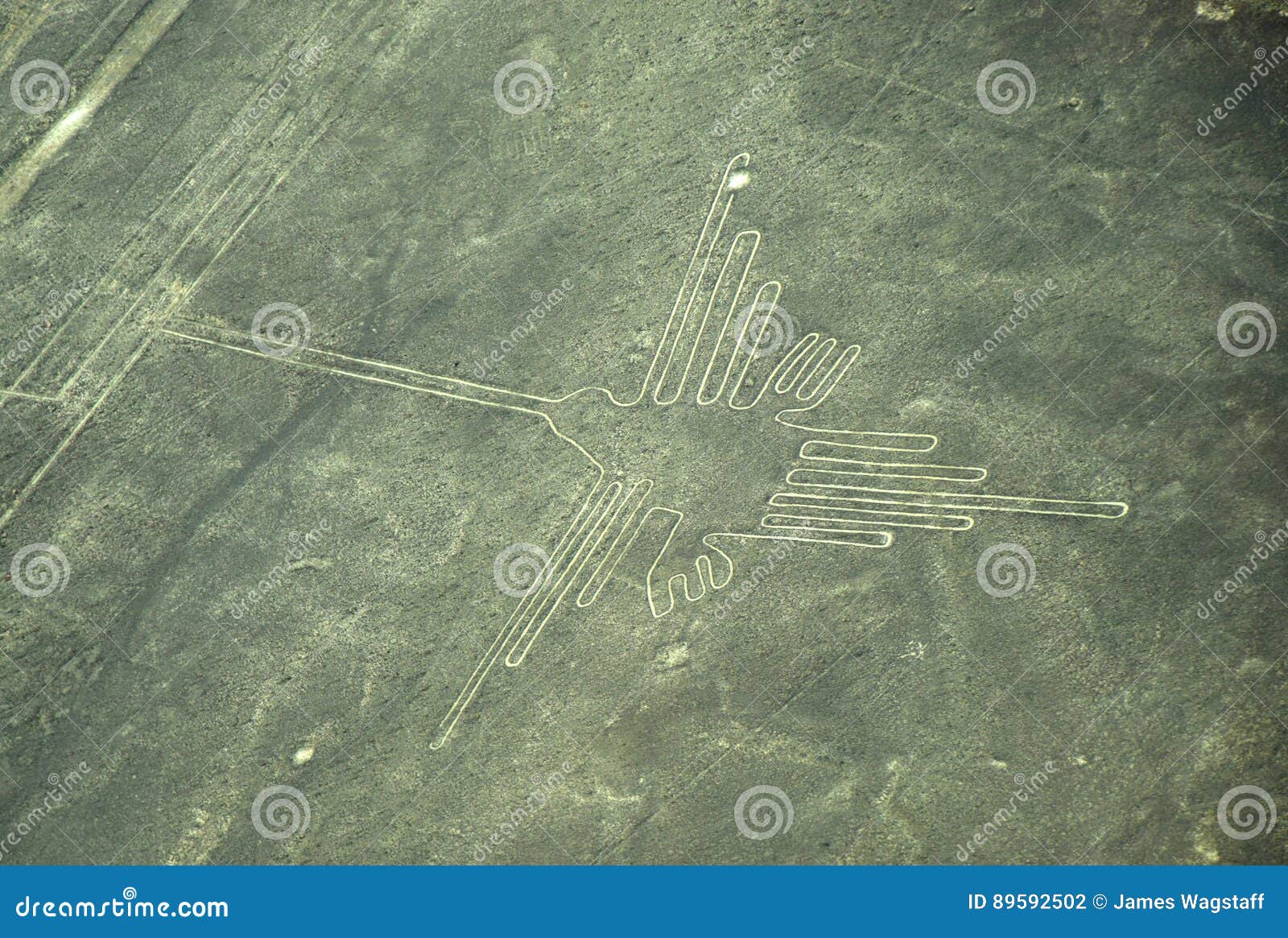 Linhas de Nazca: O colibri foto de stock. Imagem de cultura - 89592502
