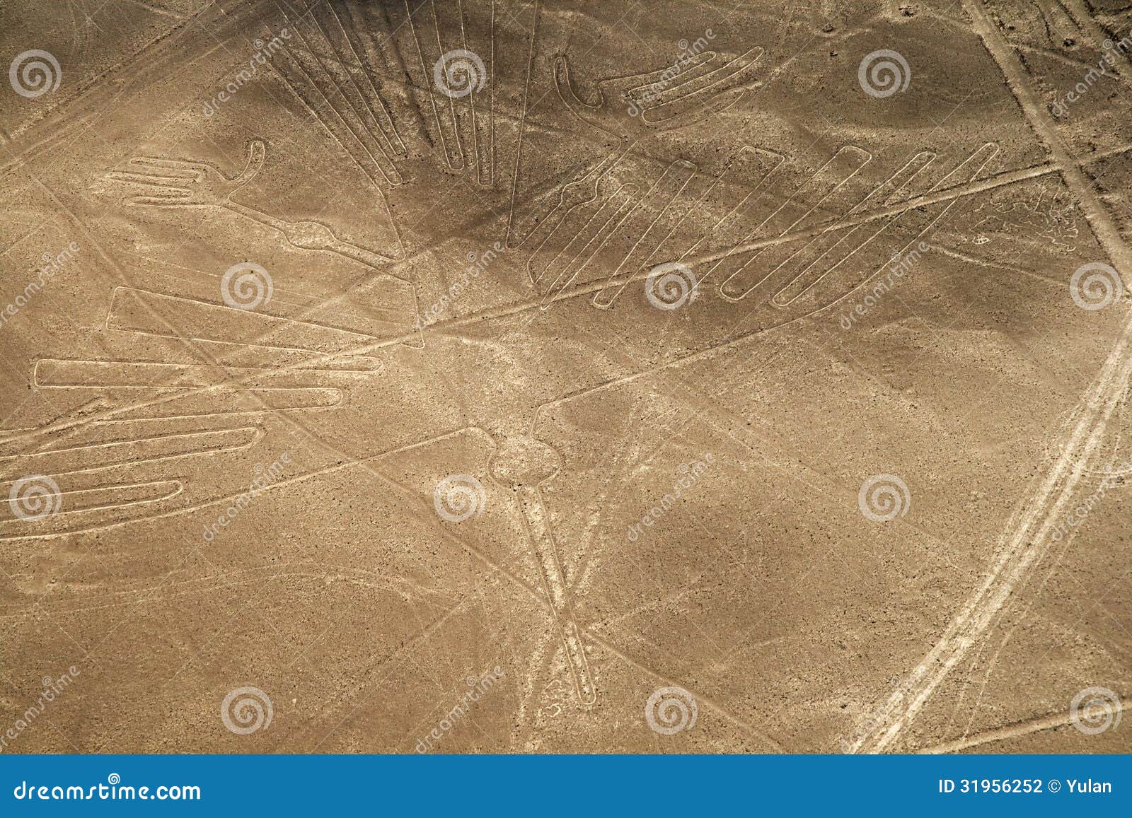 Linhas E Geoglyphs De Nazca, Peru - Colibri Foto de Stock - Imagem de ...