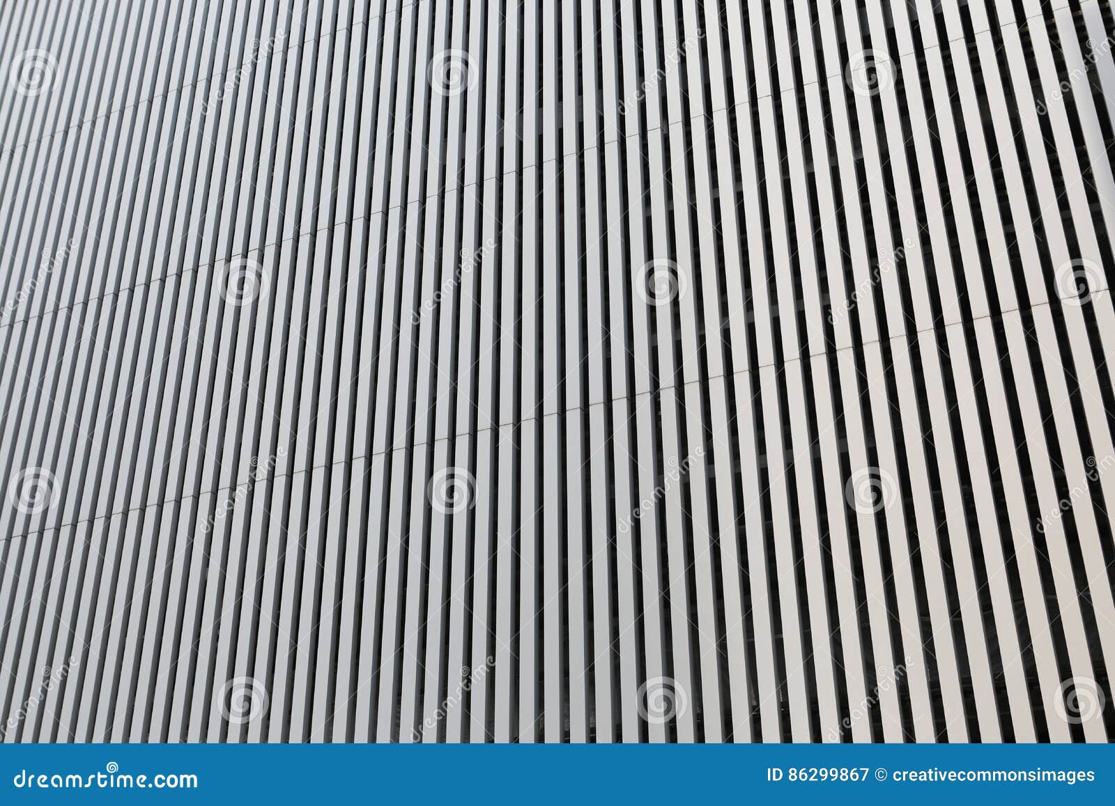 Linie Obraz. Obraz: 86299867