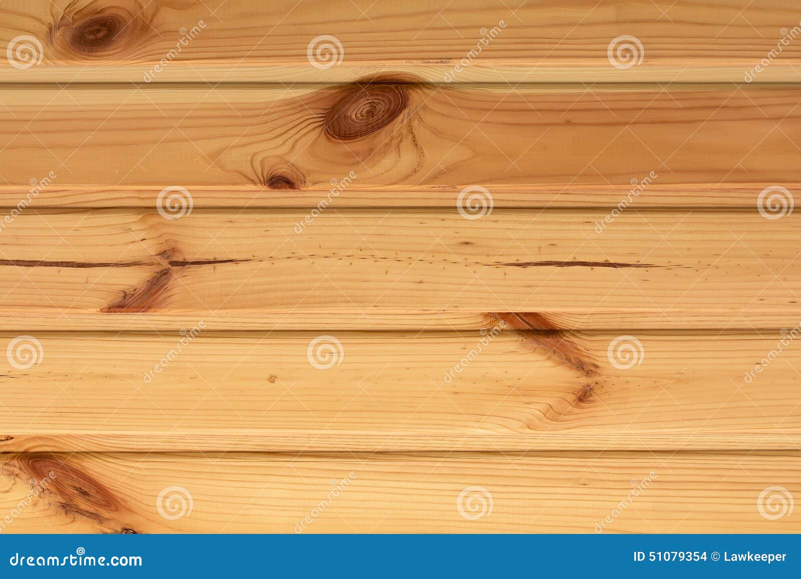 Lining boards texture stock photo. Image of circle, forest - 51079354