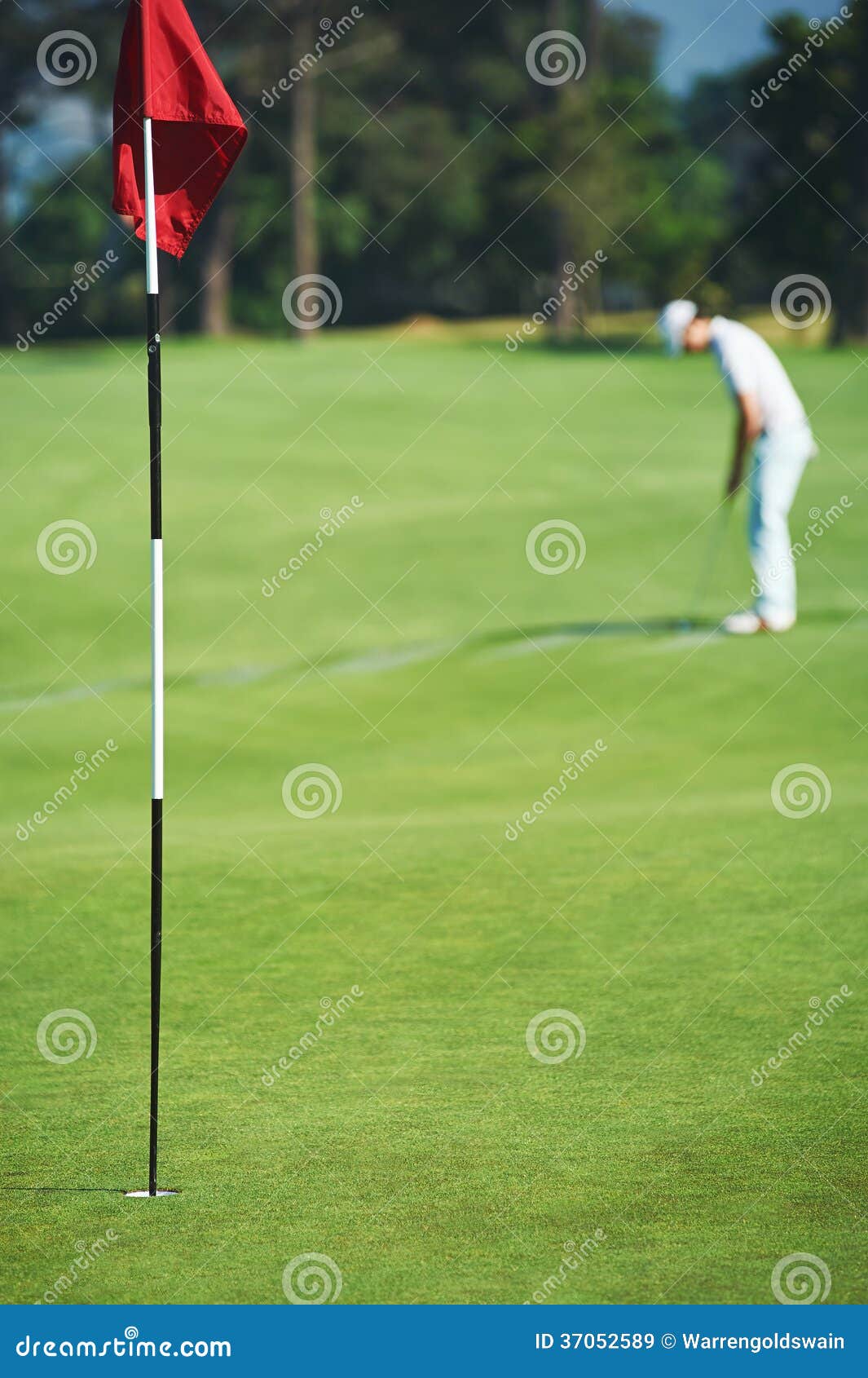 Lining up putt stock image. Image of hobby, relax, leisure - 37052589