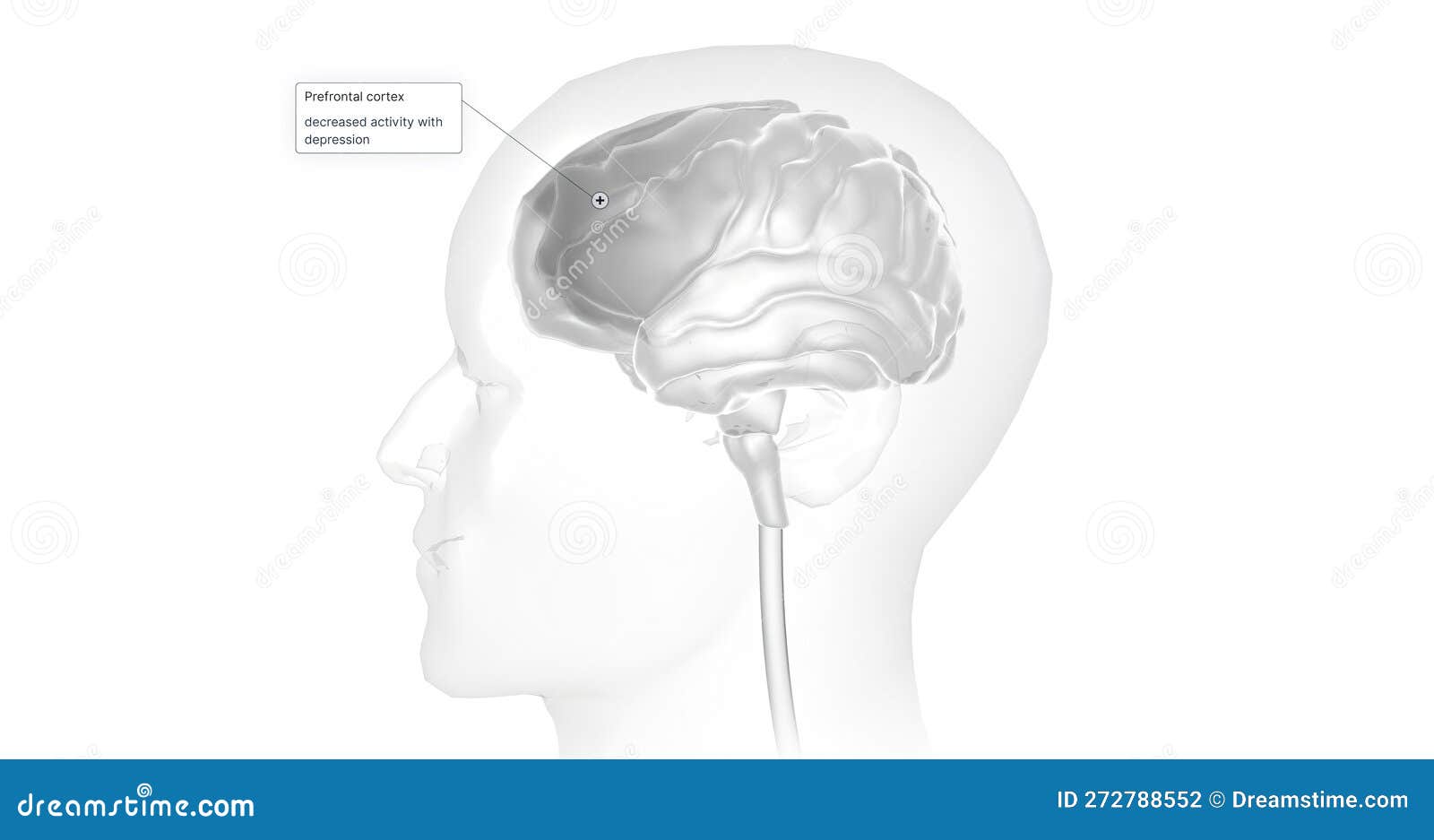 He Linked Depression To Decreased Activity and Neurotransmitter ...
