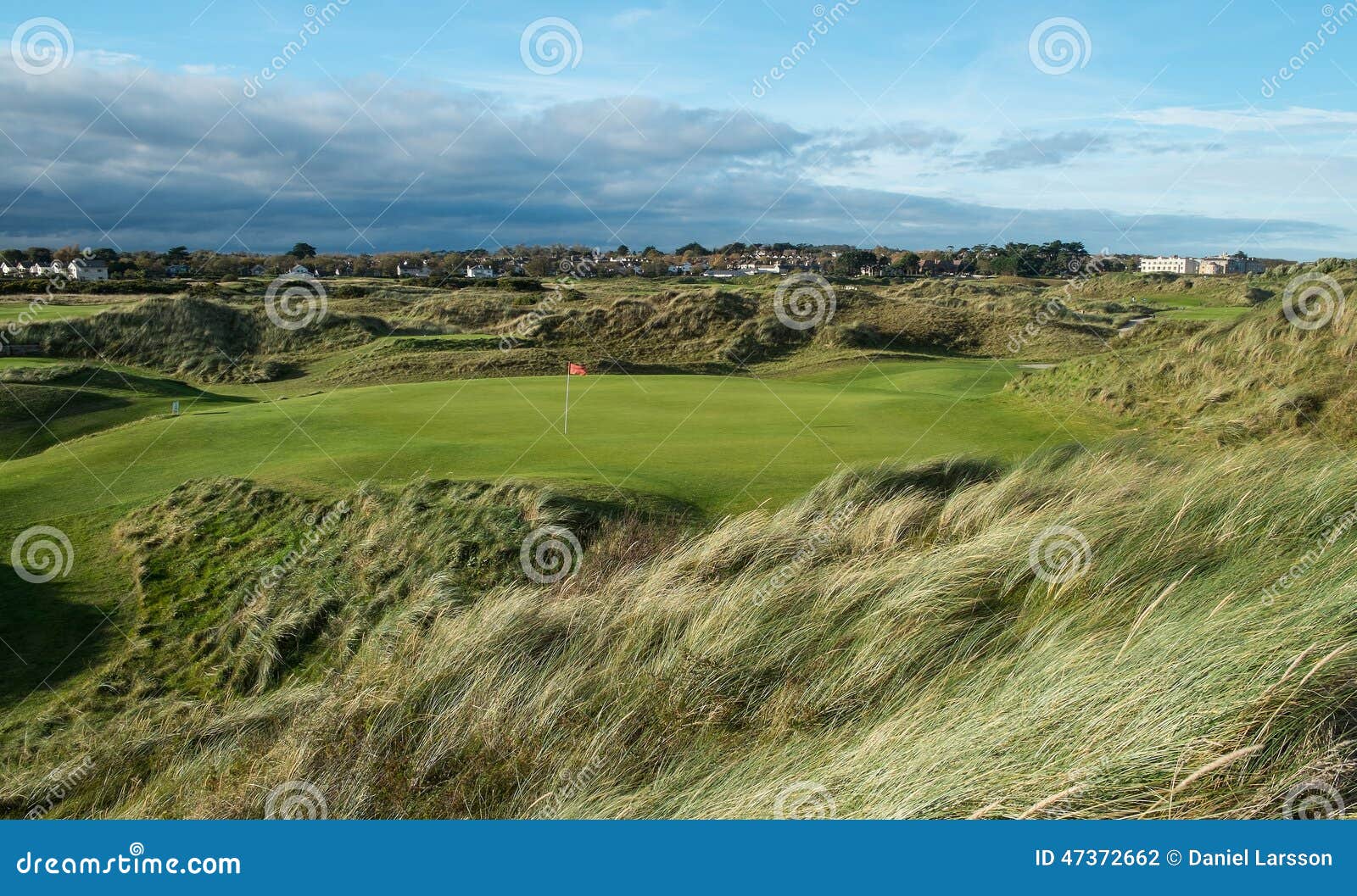 Links Golf Par 3 Hole in Trailing Light with Wind Blown Grass Stock ...