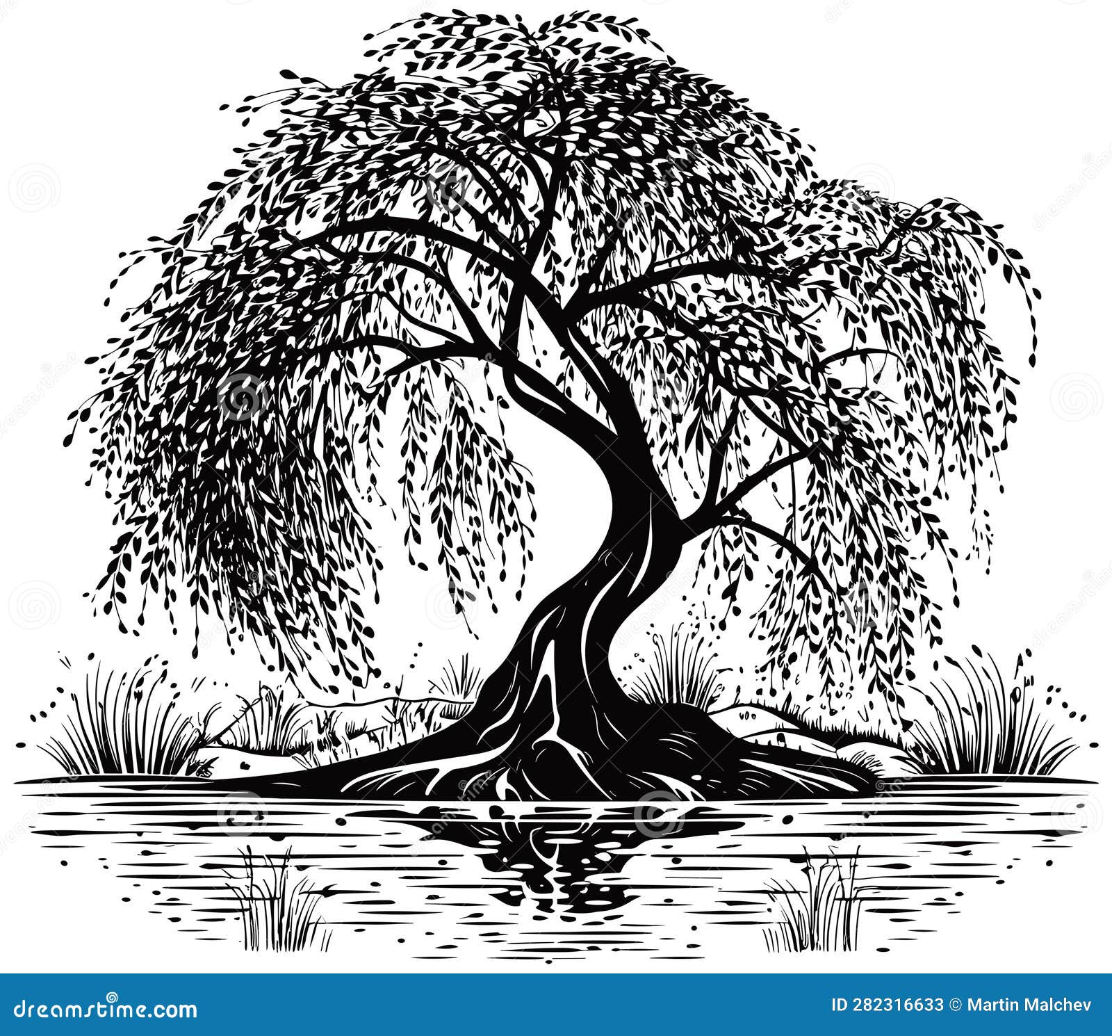 Willow Tree Royalty-Free Stock Image | CartoonDealer.com #6000172
