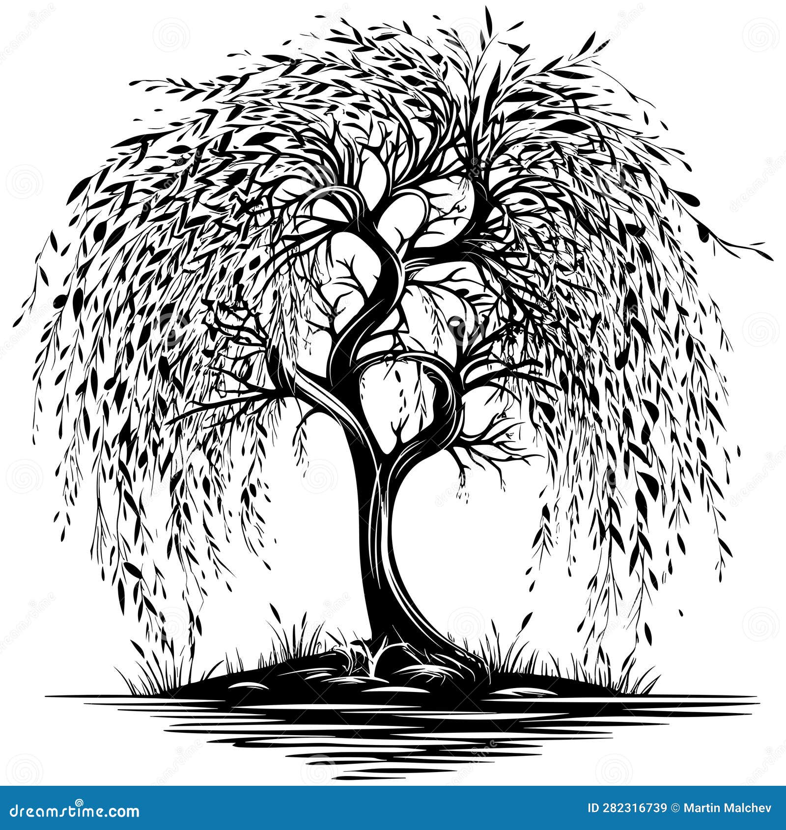 Willow Tree Black and White Stock Vector - Illustration of environment ...