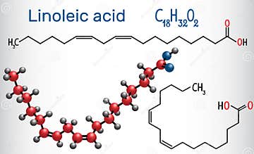 Linoleic Acid LA. Structural Chemical Formula and Molecule Mod Stock ...