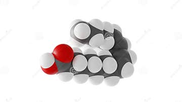 Linoleic Acid Molecule, Omega-6, Molecular Structure, Isolated 3d Model ...