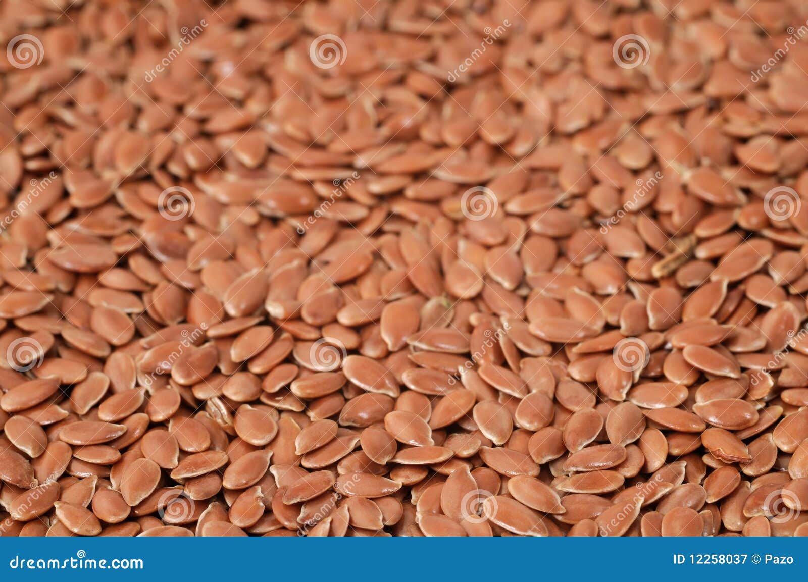 Linseed stock image. Image of linseed, grain, organic - 12258037