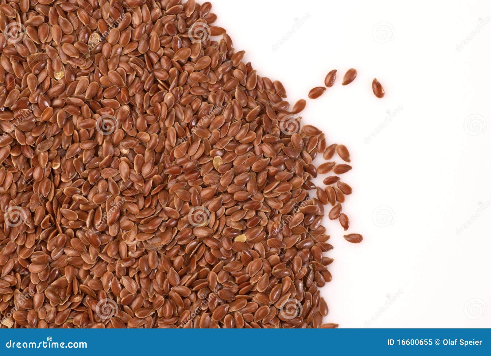 Linseed stock image. Image of copy, flax, healthy, linseed - 16600655