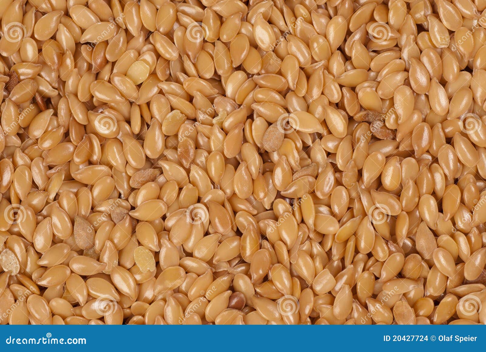 Linseed stock photo. Image of macro, linseed, grain, full - 20427724