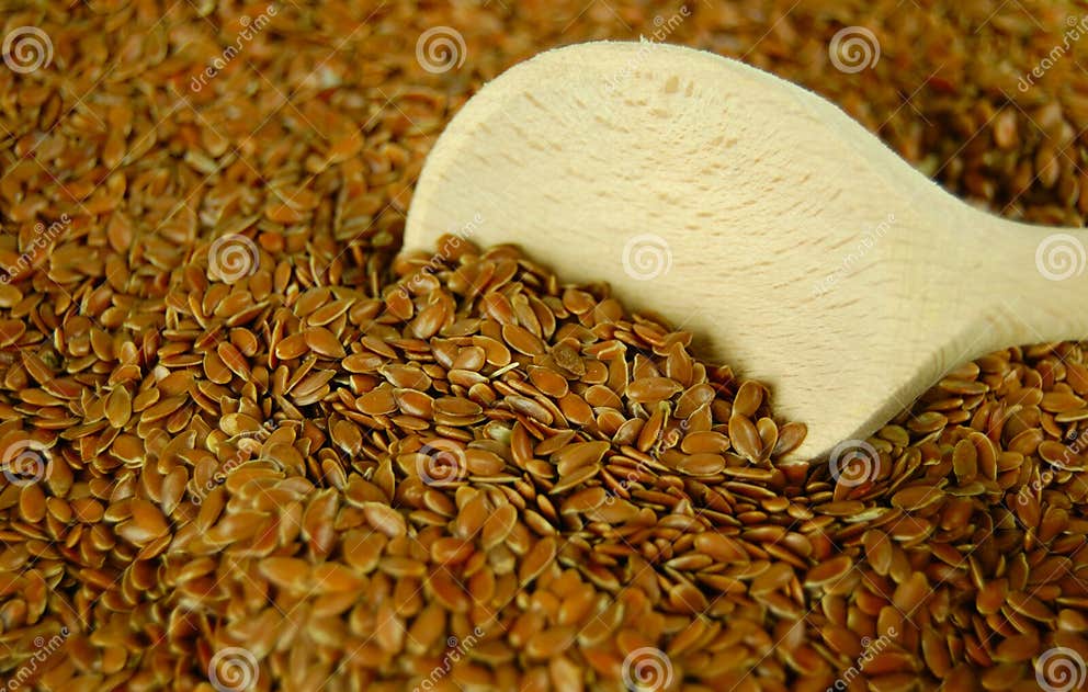 Linseed stock image. Image of natural, linseed, organic - 21962203