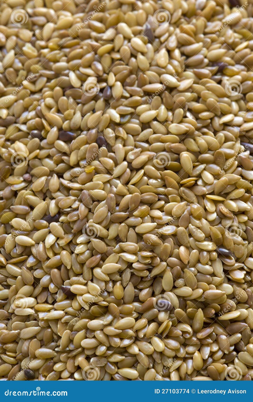 Linseed stock photo. Image of grain, frame, fullframe - 27103774