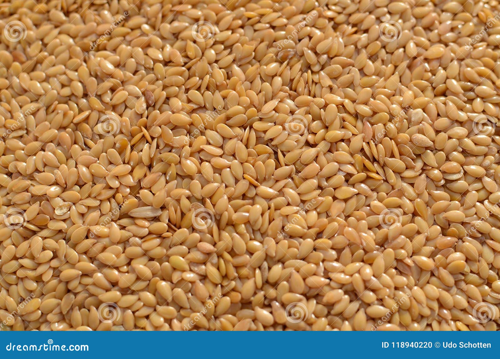 Linseed for the meal stock photo. Image of acids, cores - 118940220