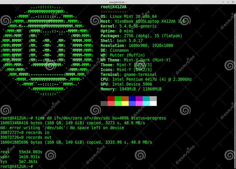 Linux Mint Screen Display it Details and Configuration after Logon To ...
