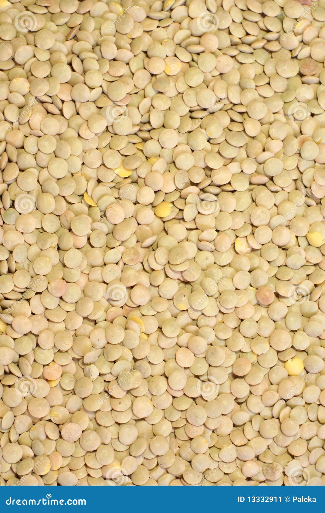 Linze stock afbeelding. Image of korrel, grutten, cirkel - 13332911