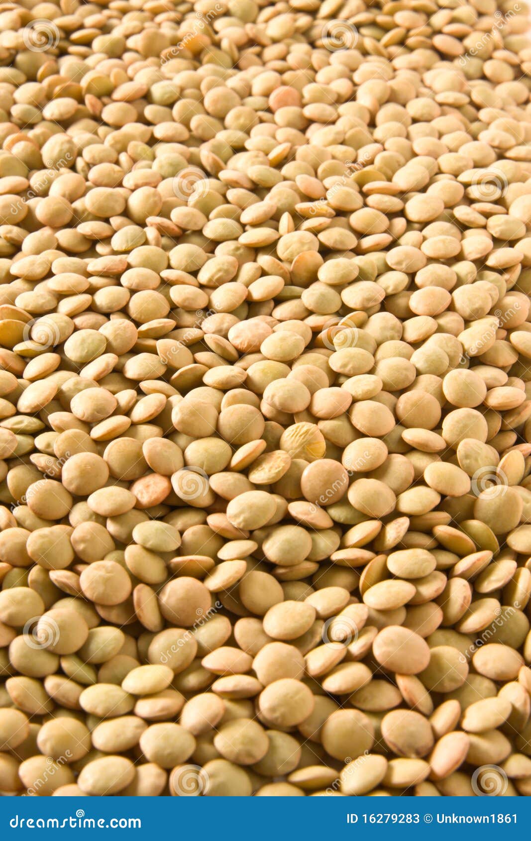 Linze stock afbeelding. Image of volledig, landbouw, maaltijd - 16279283