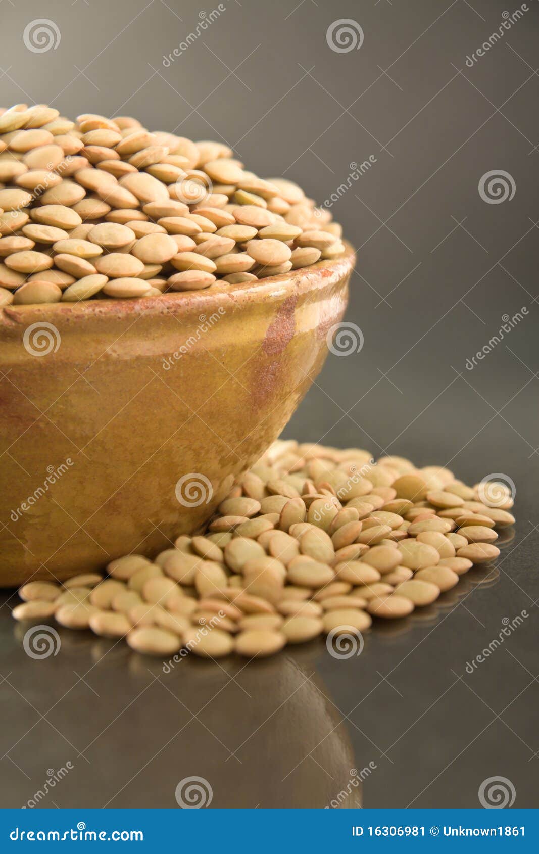 Linze stock afbeelding. Image of exemplaar, gezondheid - 16306981