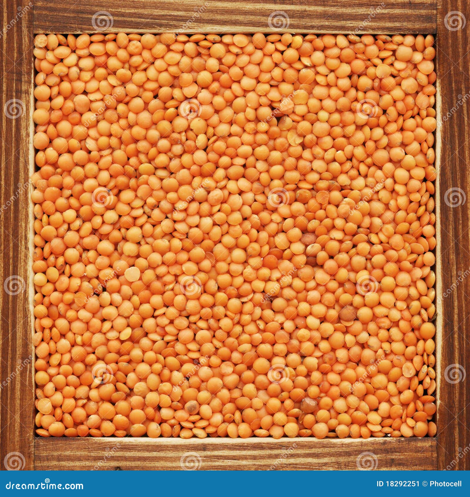 Linze stock afbeelding. Image of voedsel, sinaasappel - 18292251