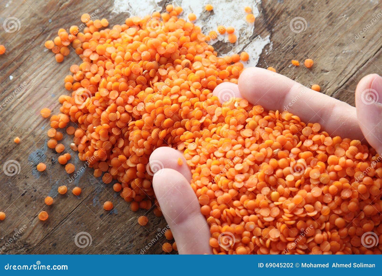 Linzen stock foto. Image of apotheker, macro, peulvrucht - 69045202