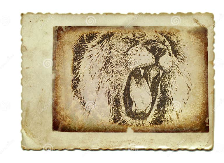 Lion stock image. Image of dash, doodle, blueprint, archaically - 23120633