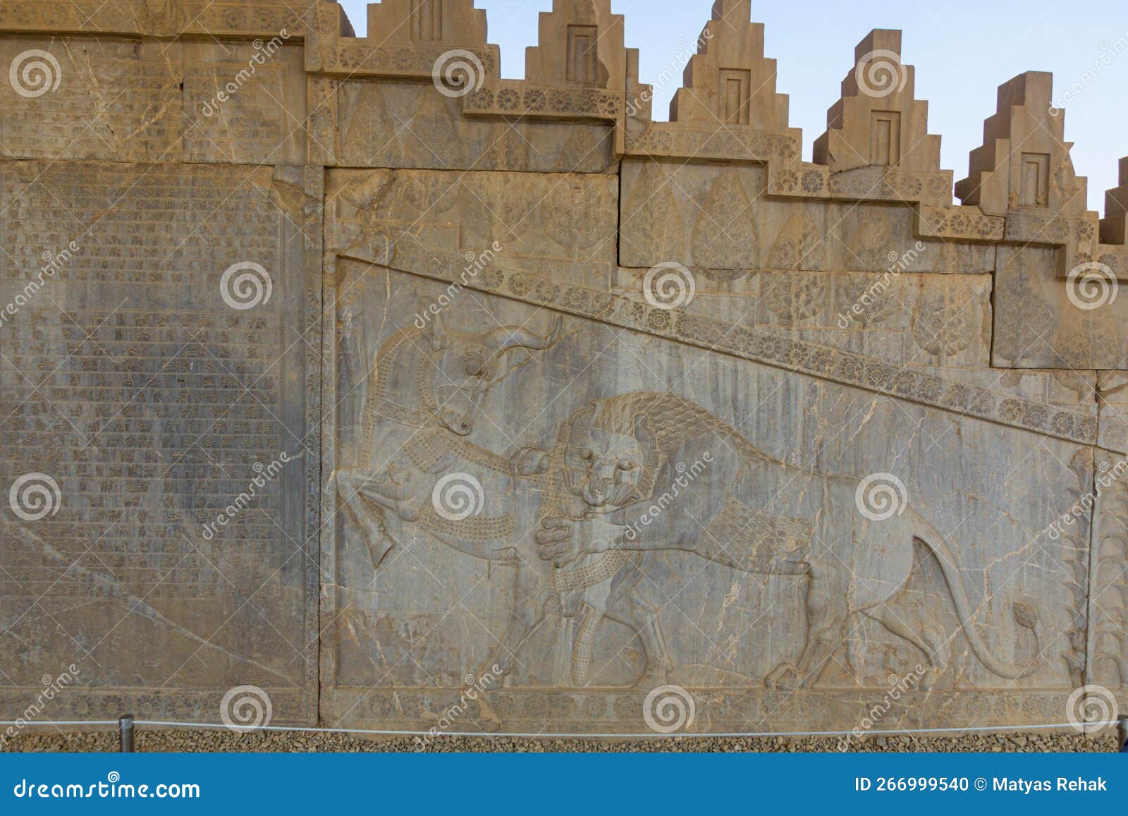 Lion Attacking a Bull in the Ancient Persepolis, Ir Stock Photo - Image ...