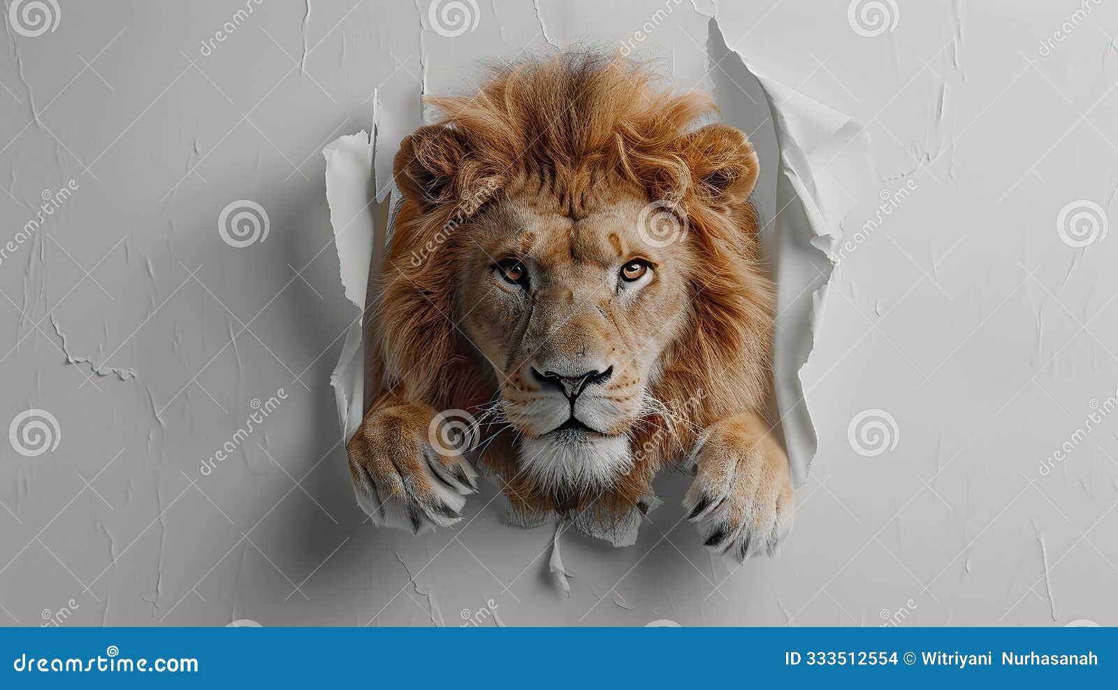 Lion Breaking through stock illustration. Illustration of wildlife ...