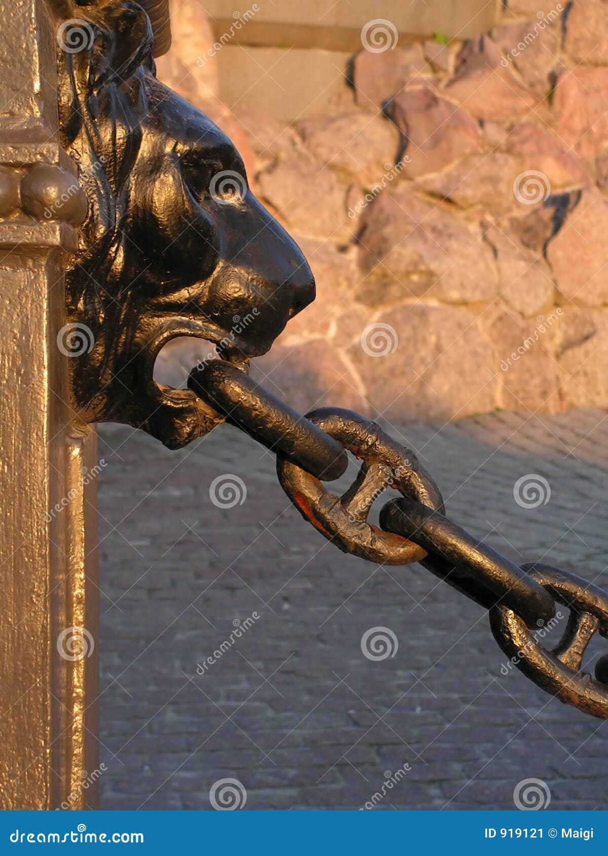 Lion and chain stock image. Image of lock, master, break - 919121