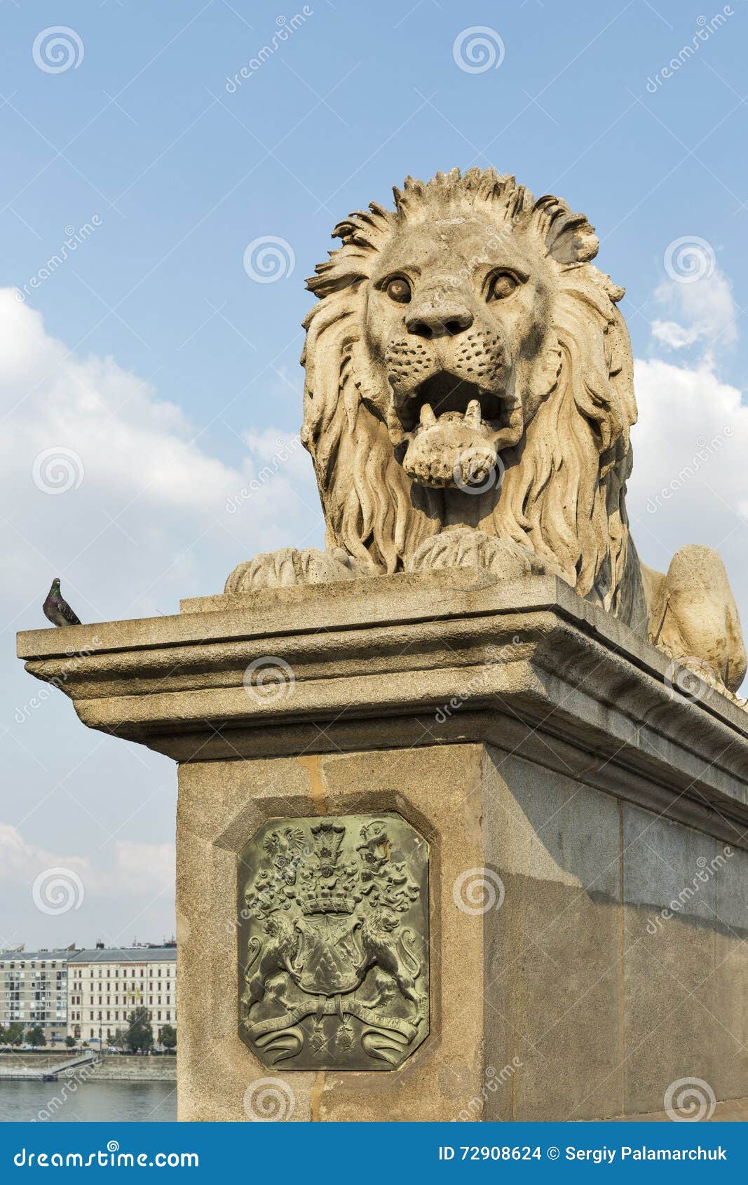 Lion of Chain Bridge in Budapest, Hungary Stock Photo - Image of buda ...