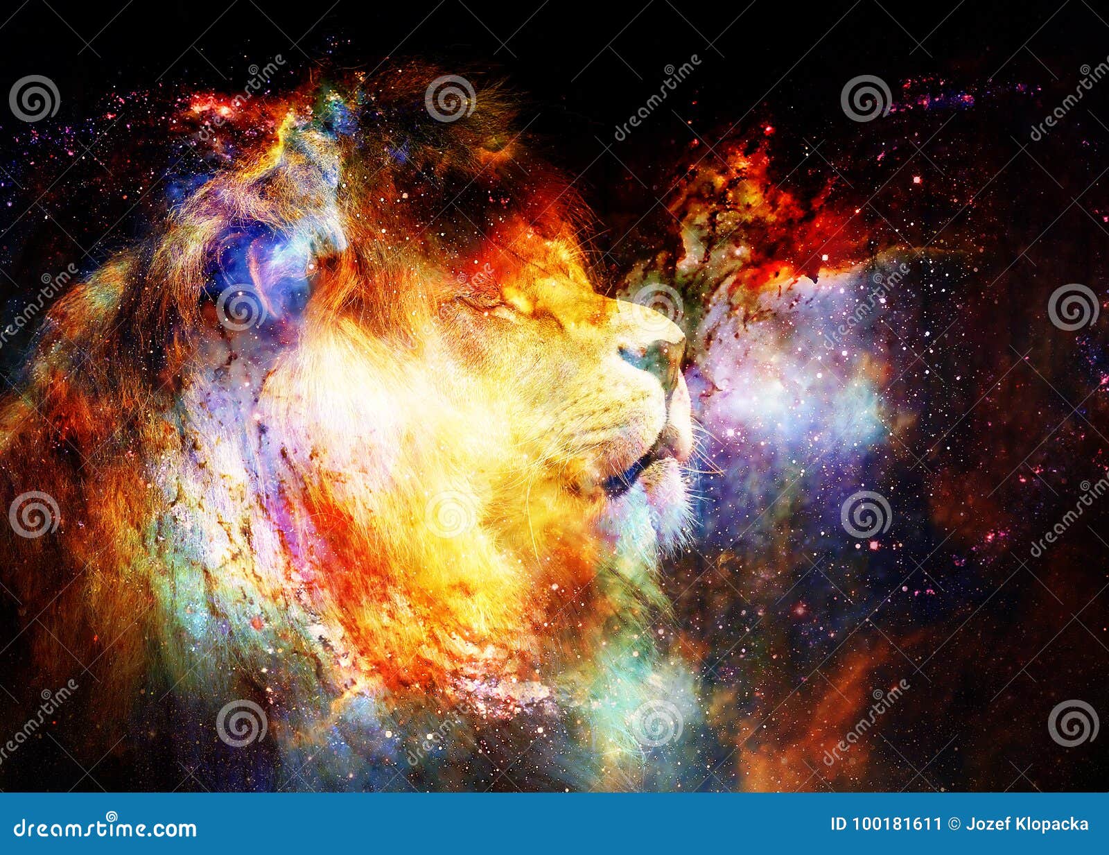 Lion in the Cosmic Space. Lion Photos and Graphic Effect. Stock ...