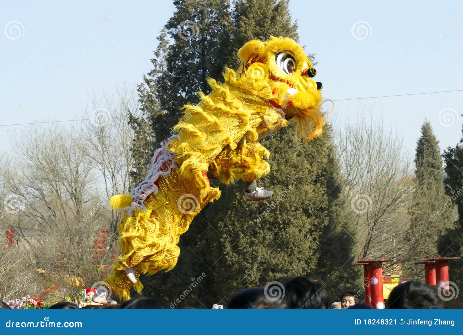 Lion dance editorial photo. Image of fair, asian, enjoy - 18248321