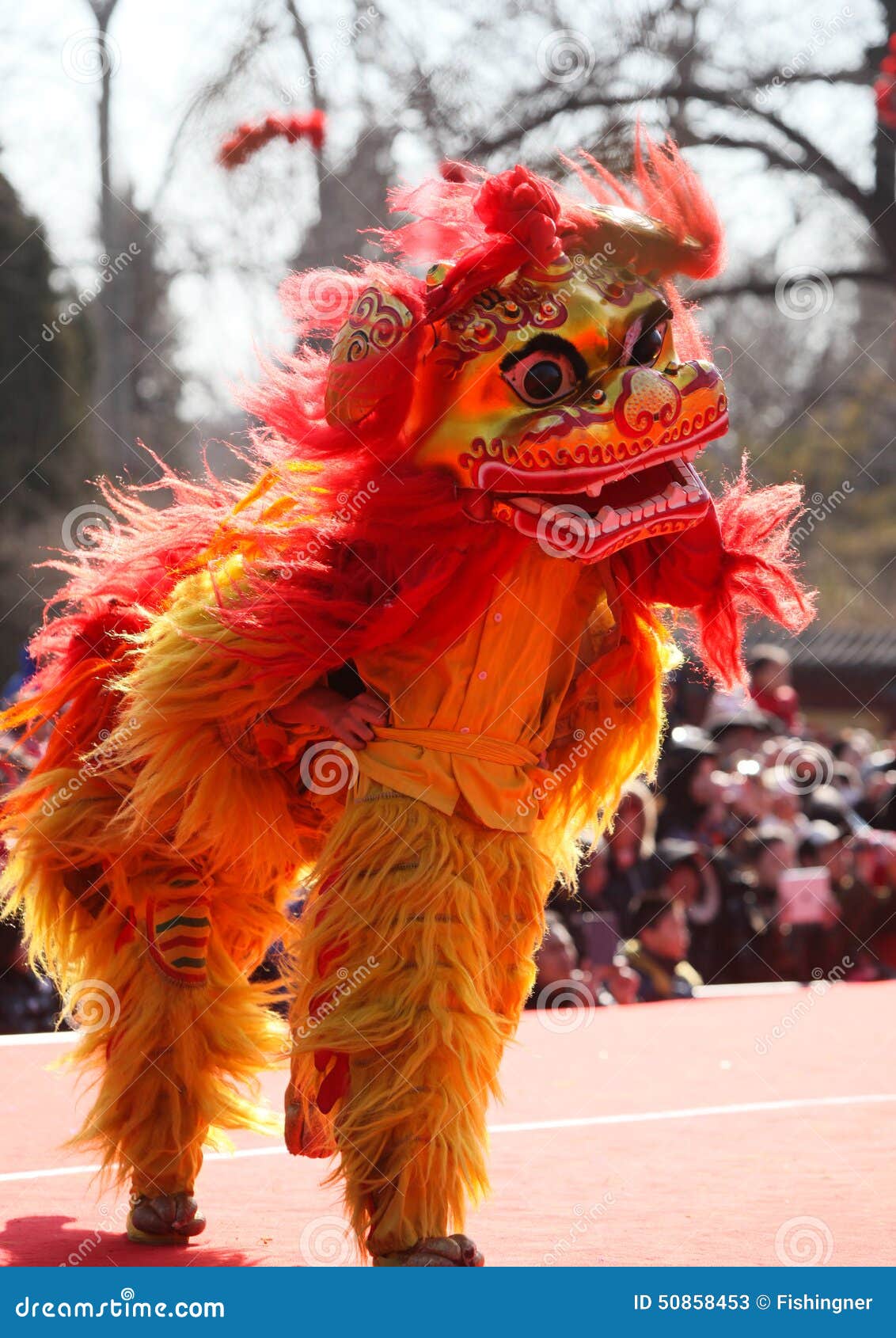 Lion Dance imagem de stock. Imagem de festividade, porcelana - 50858453
