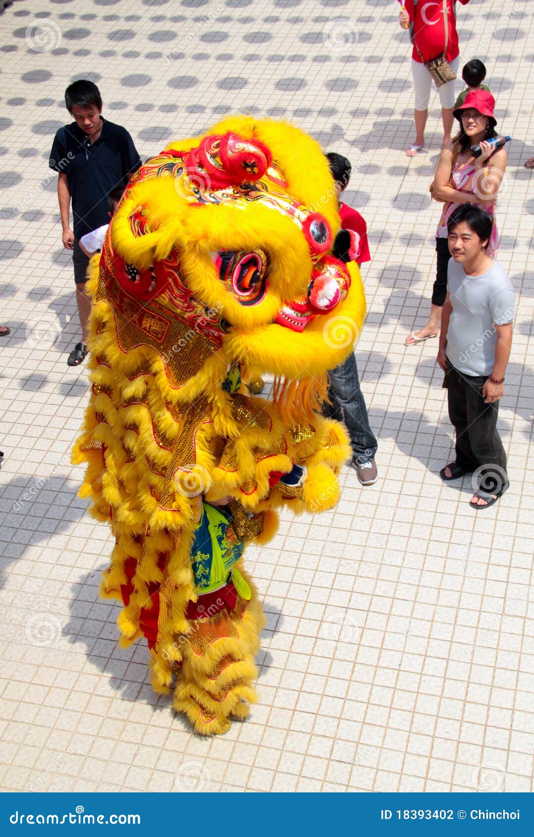 Lion Dance Performing Vertical Stance Editorial Photography - Image of ...