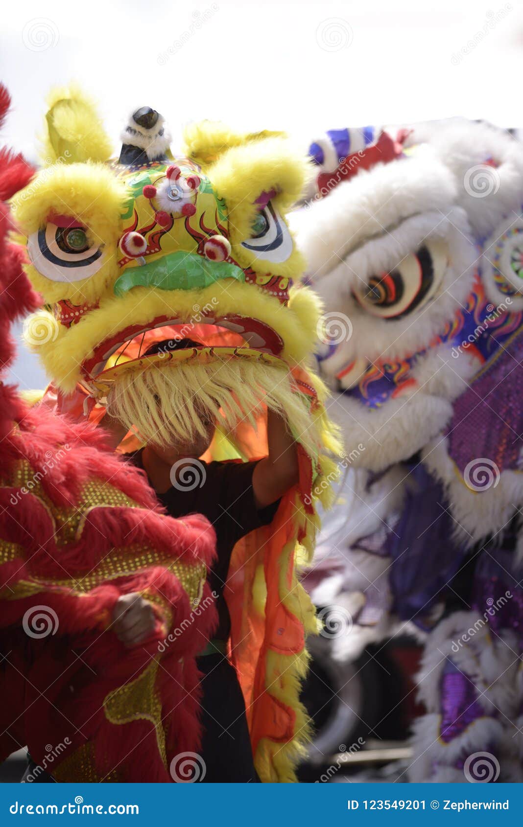 Lion dancer stock image. Image of yellow, costume, lion - 123549201