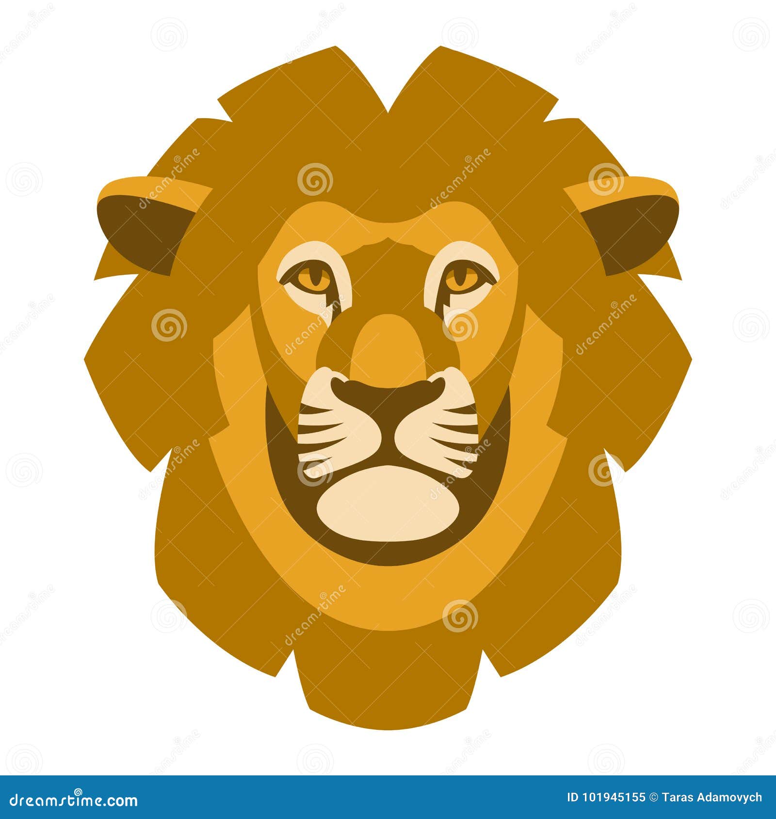 Lion Front View Face