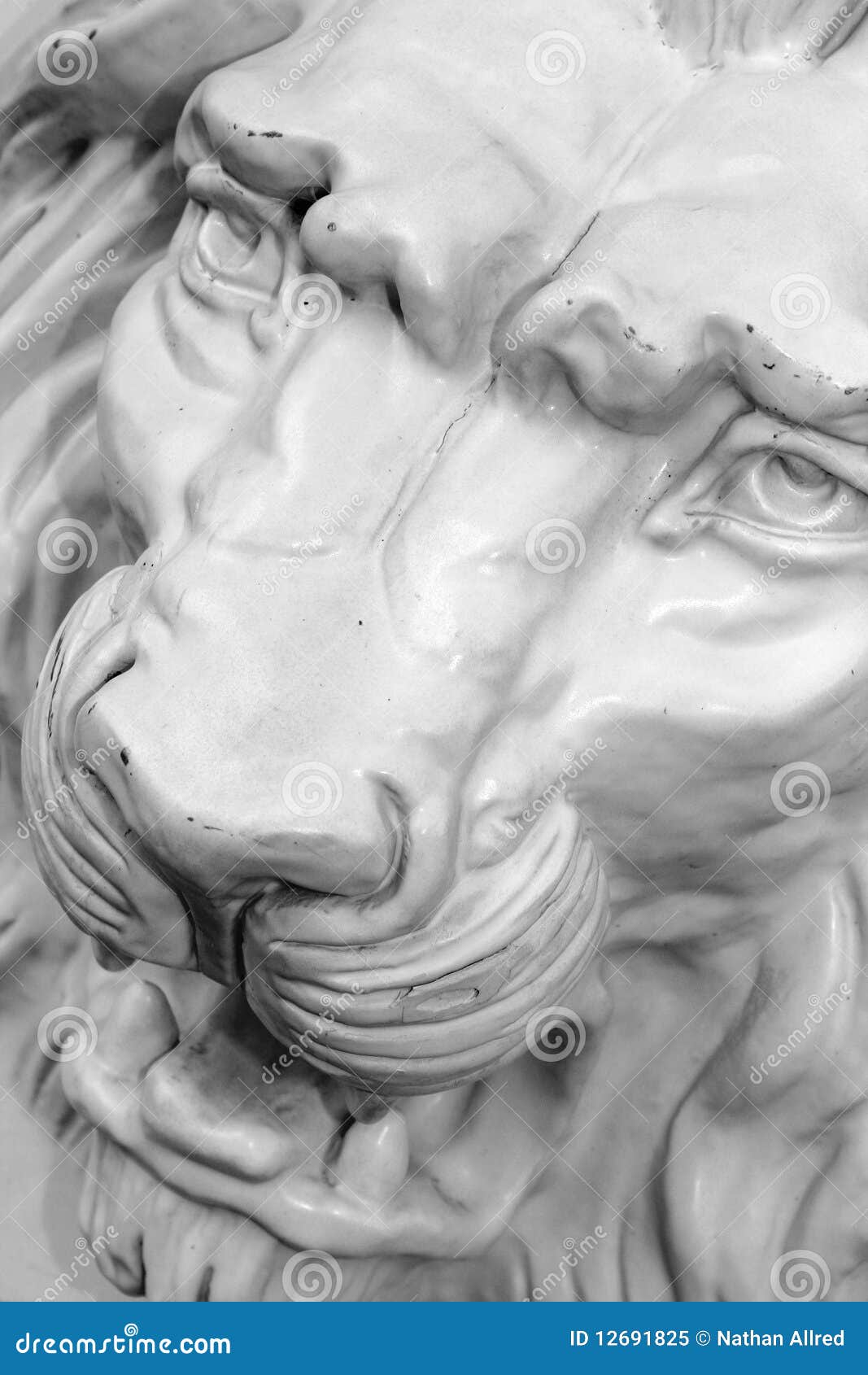 Lion face statue stock image. Image of predator, sculpture - 12691825