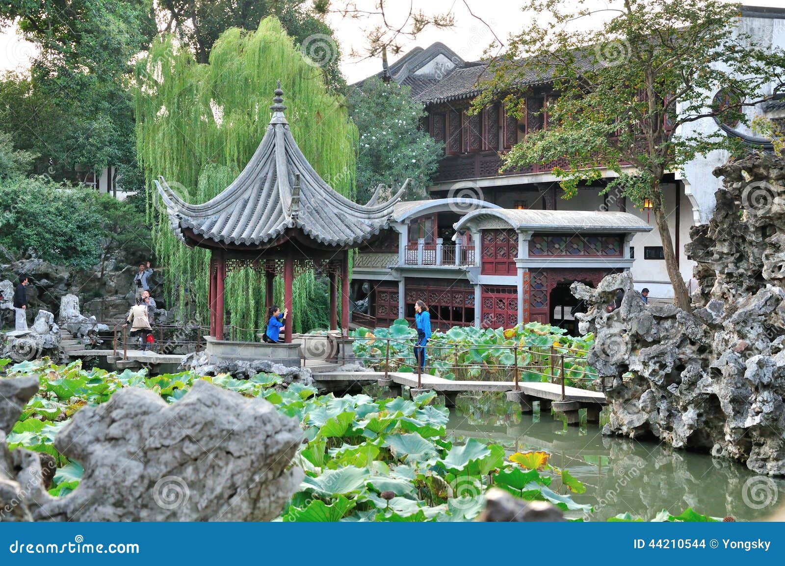 Lion Grove Garden image stock éditorial. Image du patrimoine - 44210544