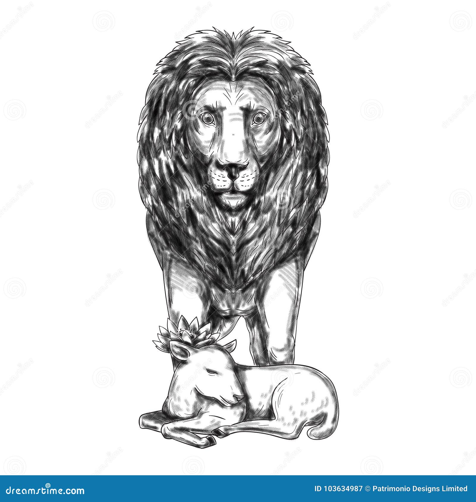 Lion Guarding Lamb Tattoo stock illustratie. Illustration of houtskool ...
