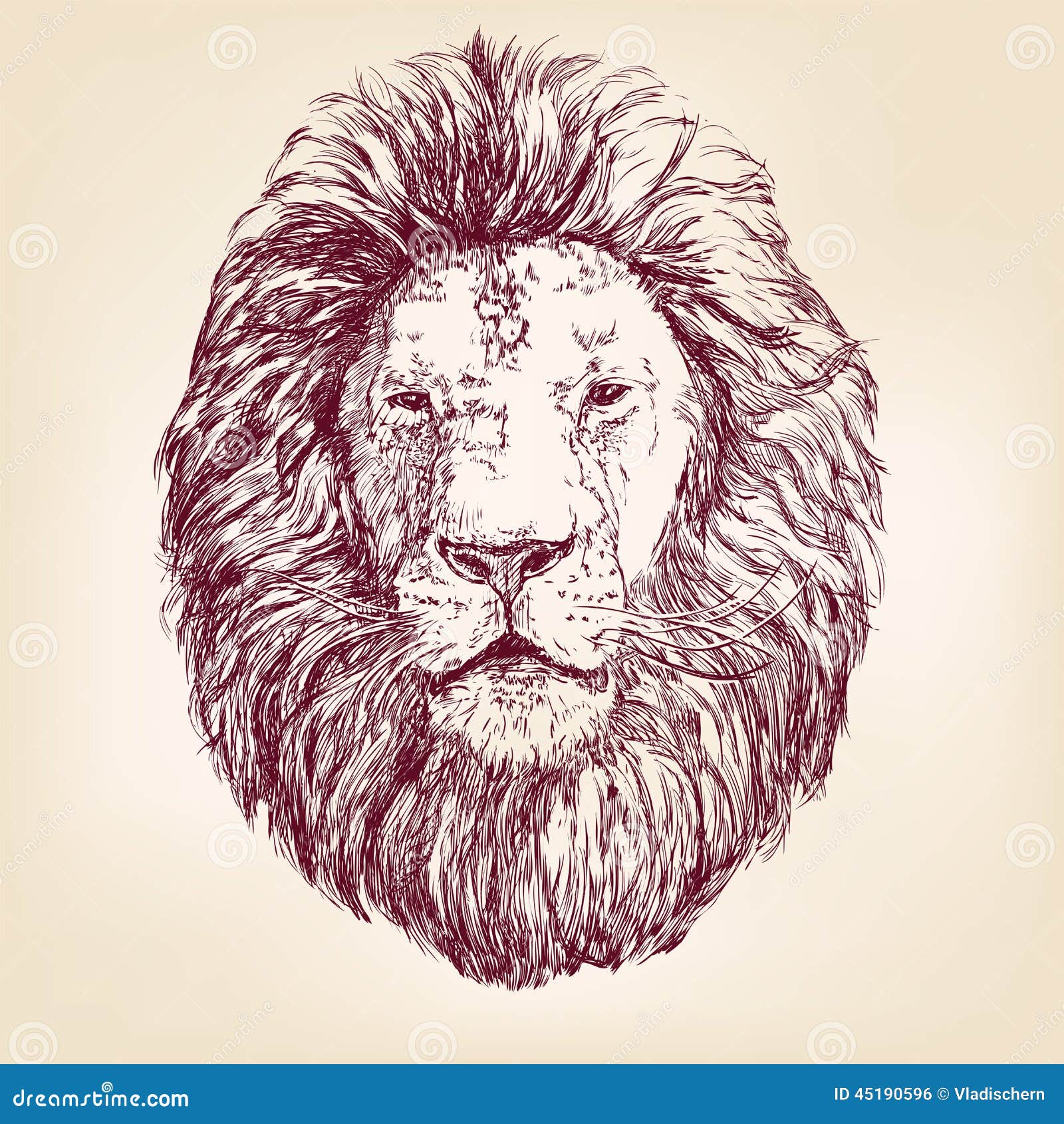 Lion Hand Drawn Vector Stock Illustrations – 9,888 Lion Hand Drawn ...