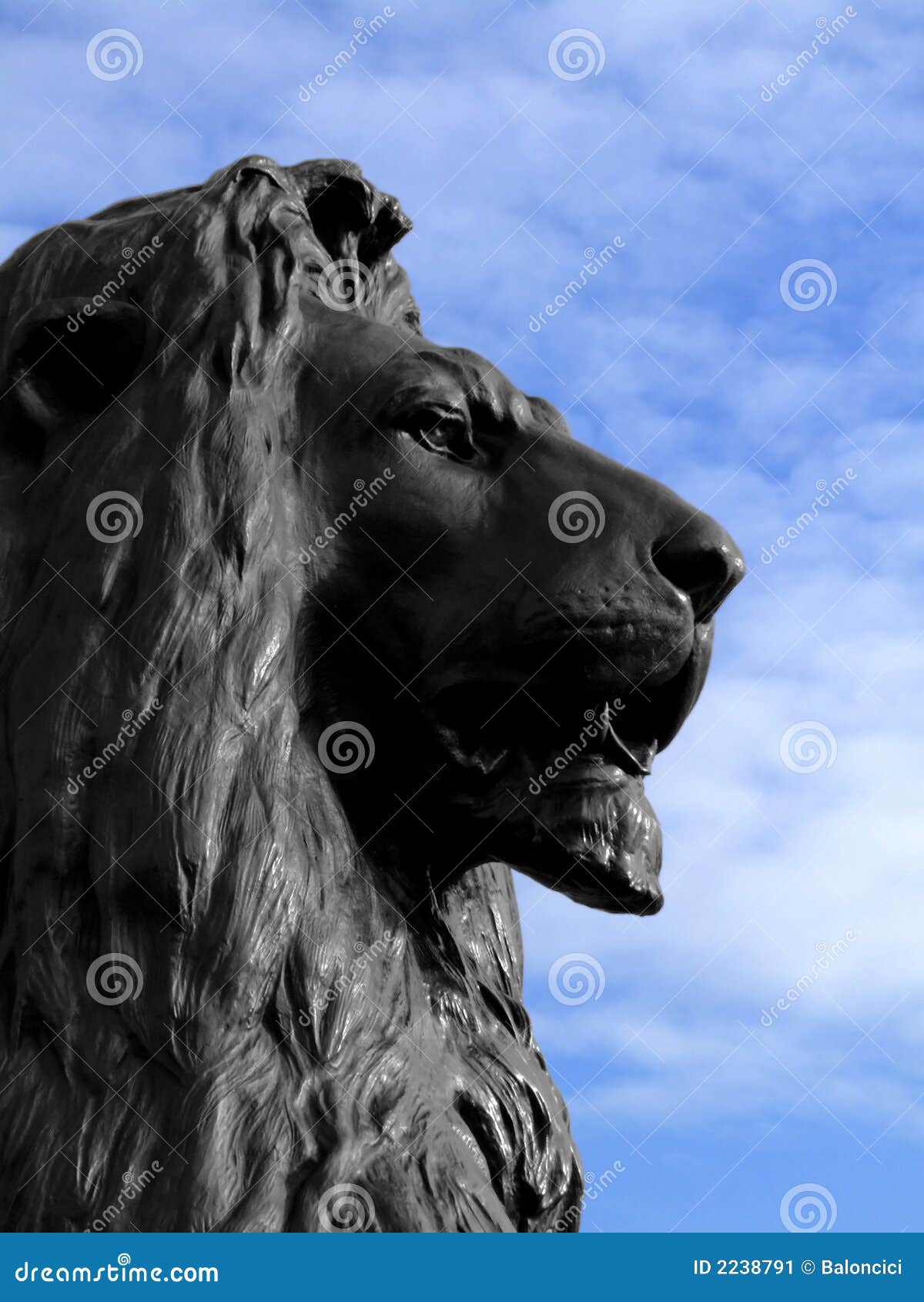 Lion head stock image. Image of africa, rare, hunt, hair - 2238791