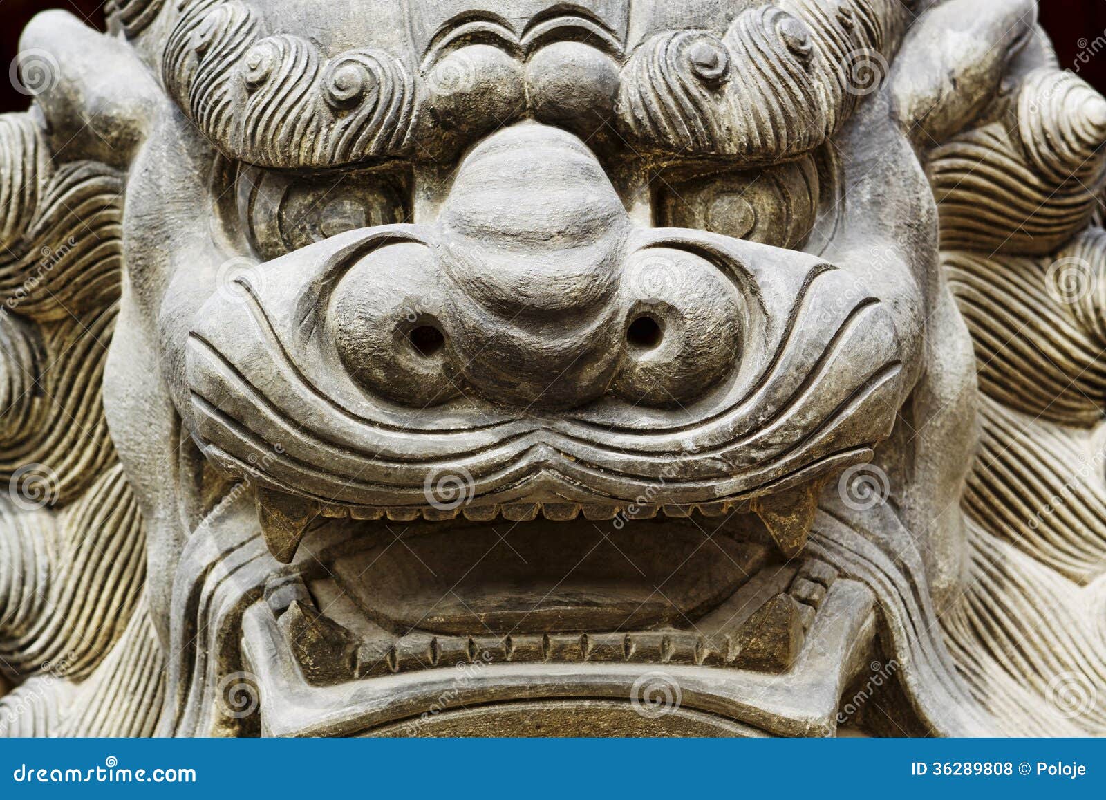 Lion Head Relief on the Facade Stock Photo - Image of ammannati, medici ...