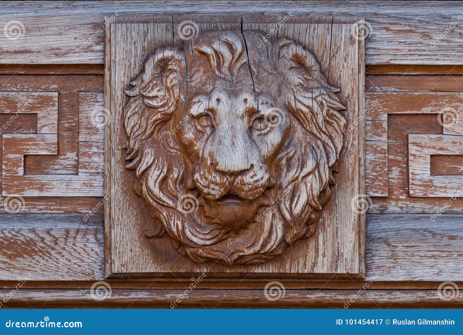 Lion Head Relief on the Facade Stock Image - Image of garden, ammannati ...