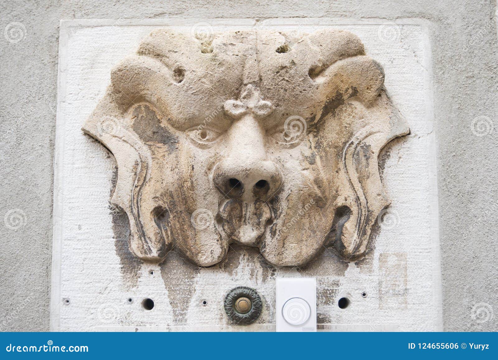 Lion head relief stock photo. Image of detail, relief - 124655606