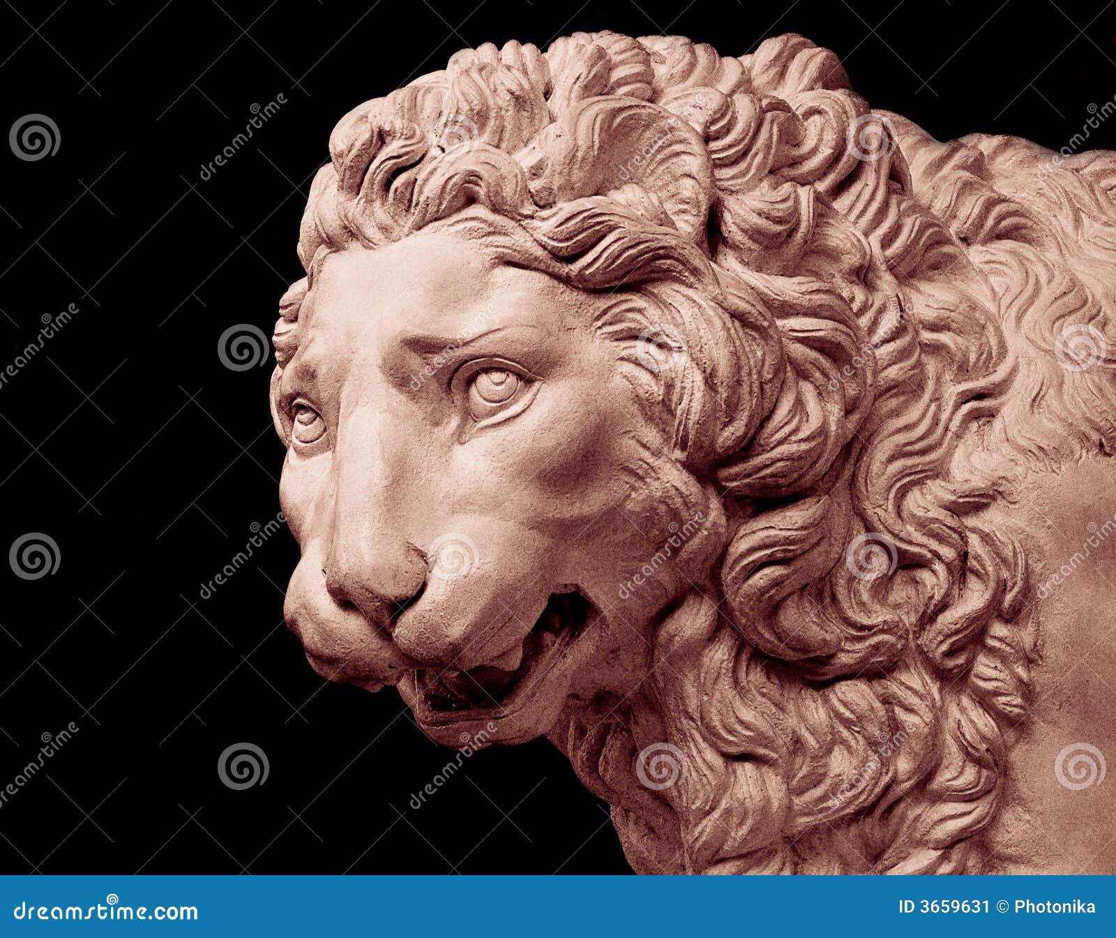 Lion Head Sculpture Isolated Stock Image - Image of history, face: 3659631