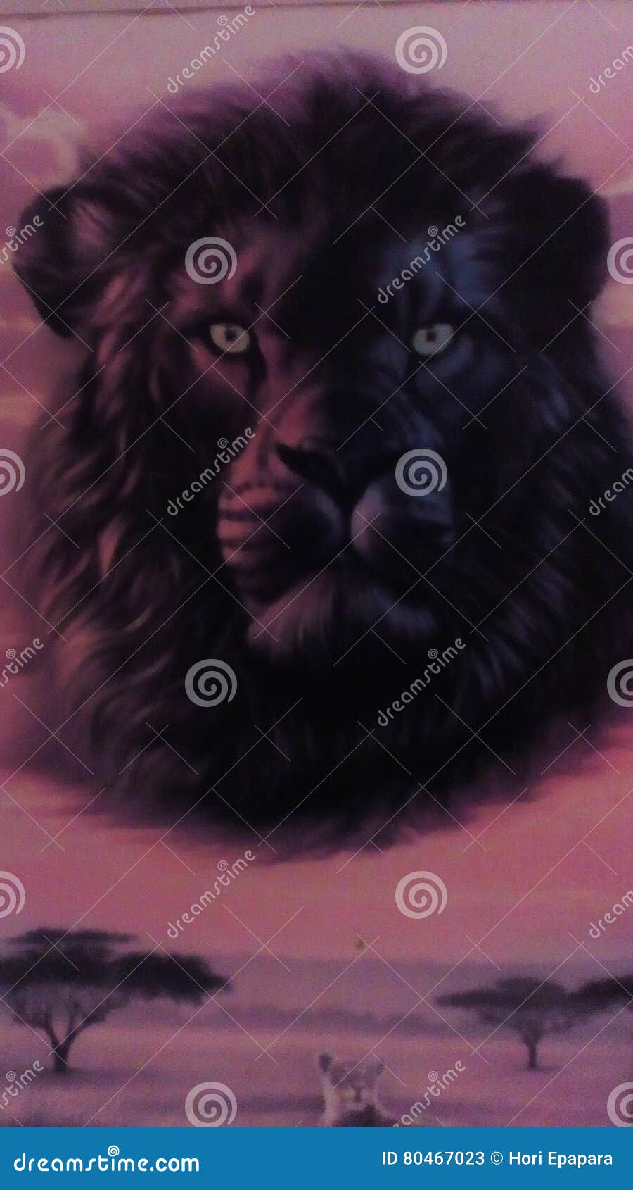 Lion hme pictured editorial stock photo. Image of horiepapara - 80467023